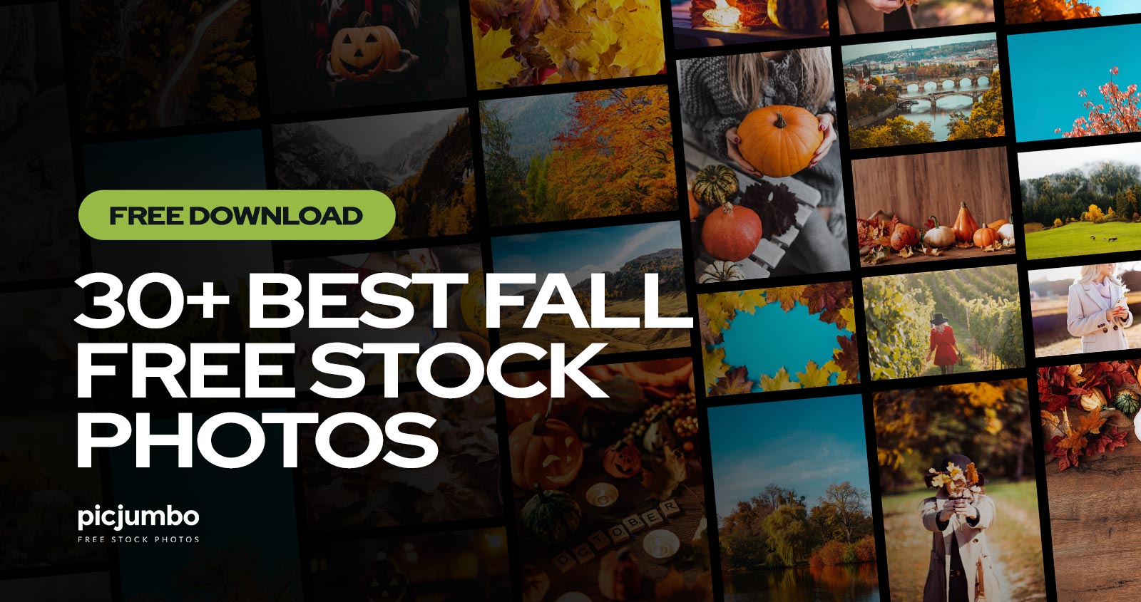 30+ Fall Free Photos and Images | picjumbo blog