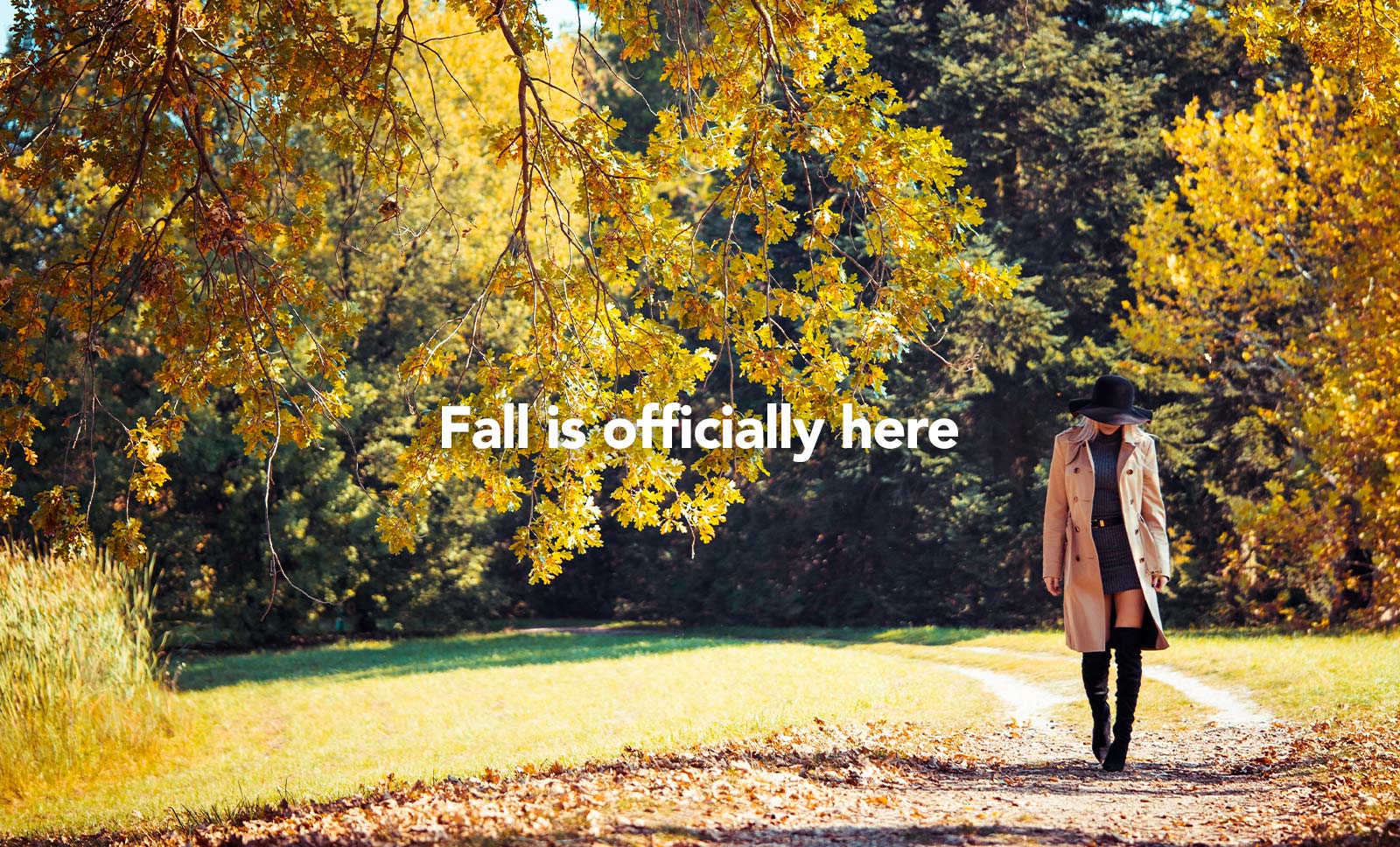 Fall is officially here | picjumbo blog